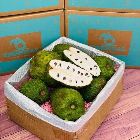 Resep Es Manado yang Praktis dan Menyegarkan | IDN Times