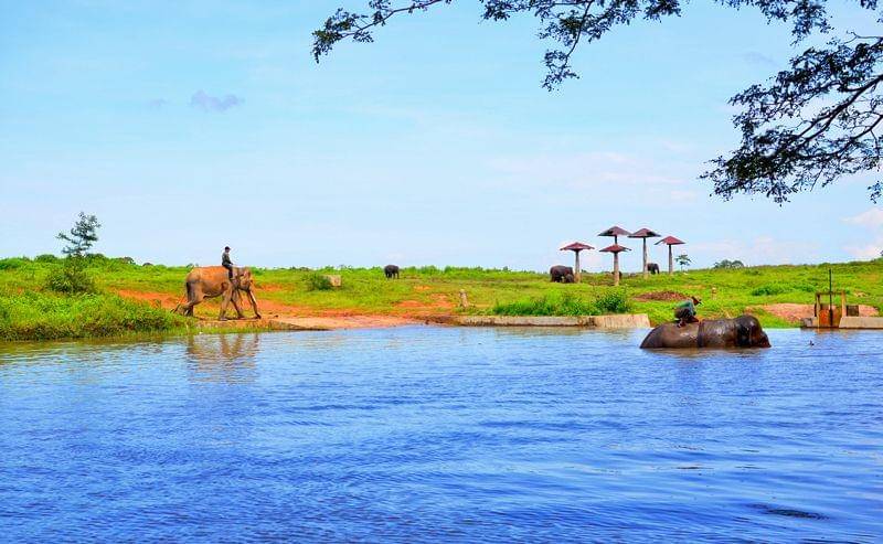 Taman Nasional Way Kambas: Info, Lokasi, Harga Tiket, Rute | IDN Times