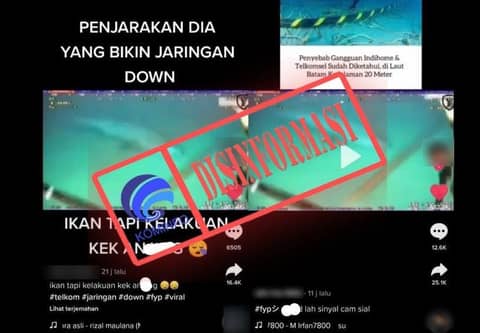 [CEK FAKTA] Jaringan Telkomsel Down karena Digigit Ikan Hiu | IDN Times