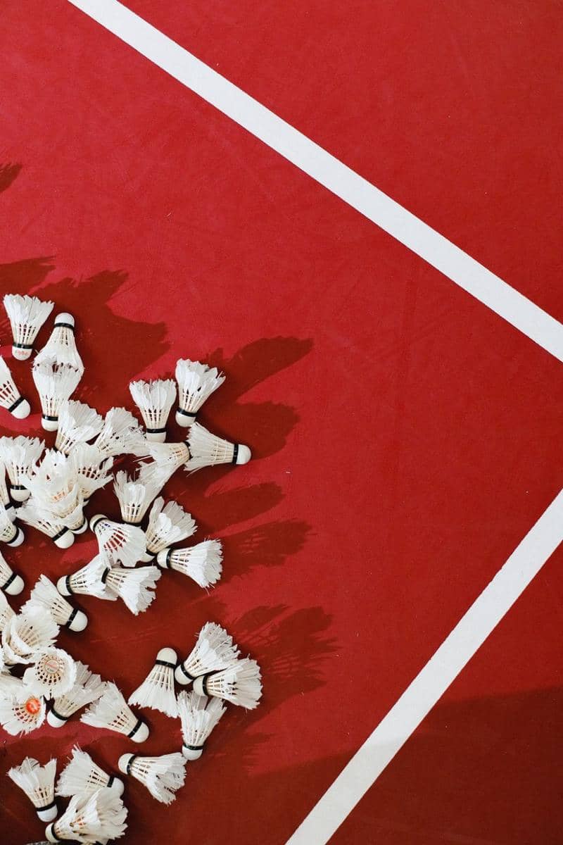 12 Merk Shuttlecock Terbaik, Bikin Pertandingan Makin Seru | IDN Times