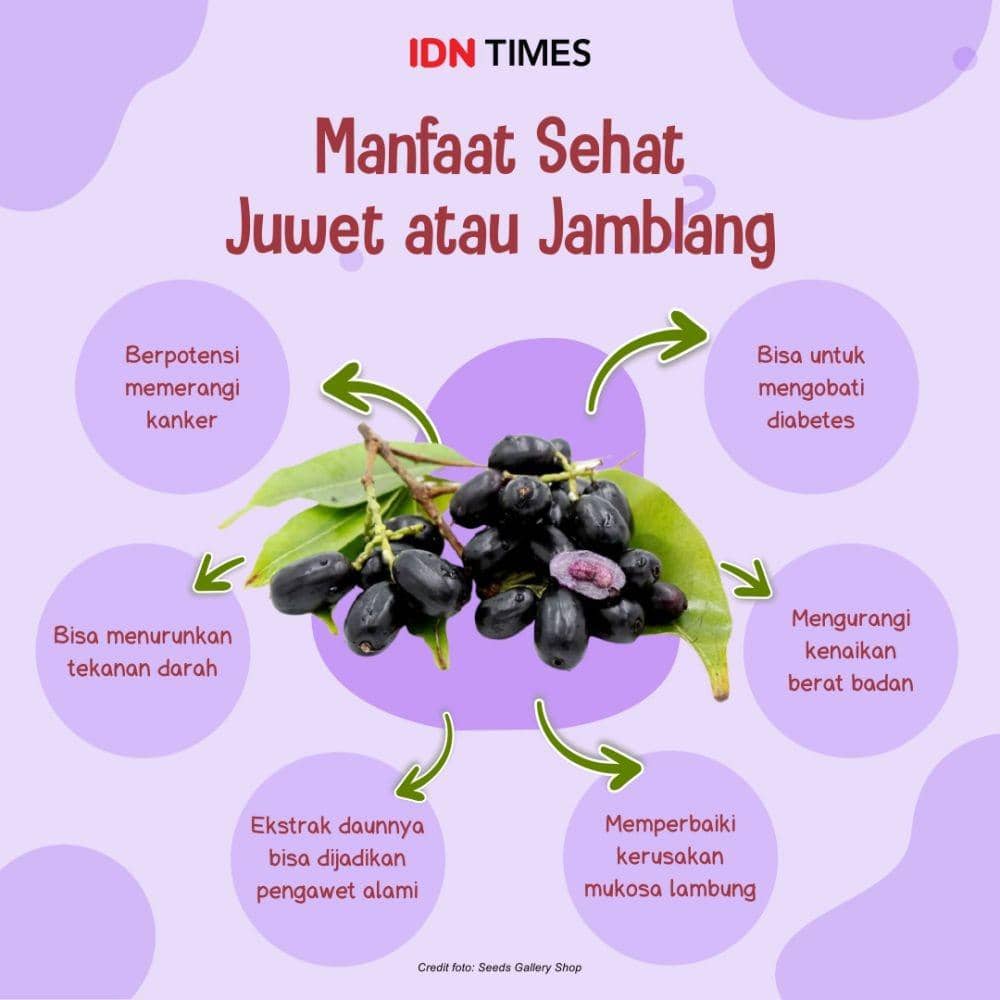 #GiziLokal: Manfaat Mengonsumsi Buah Juwet atau Jamblang | IDN Times