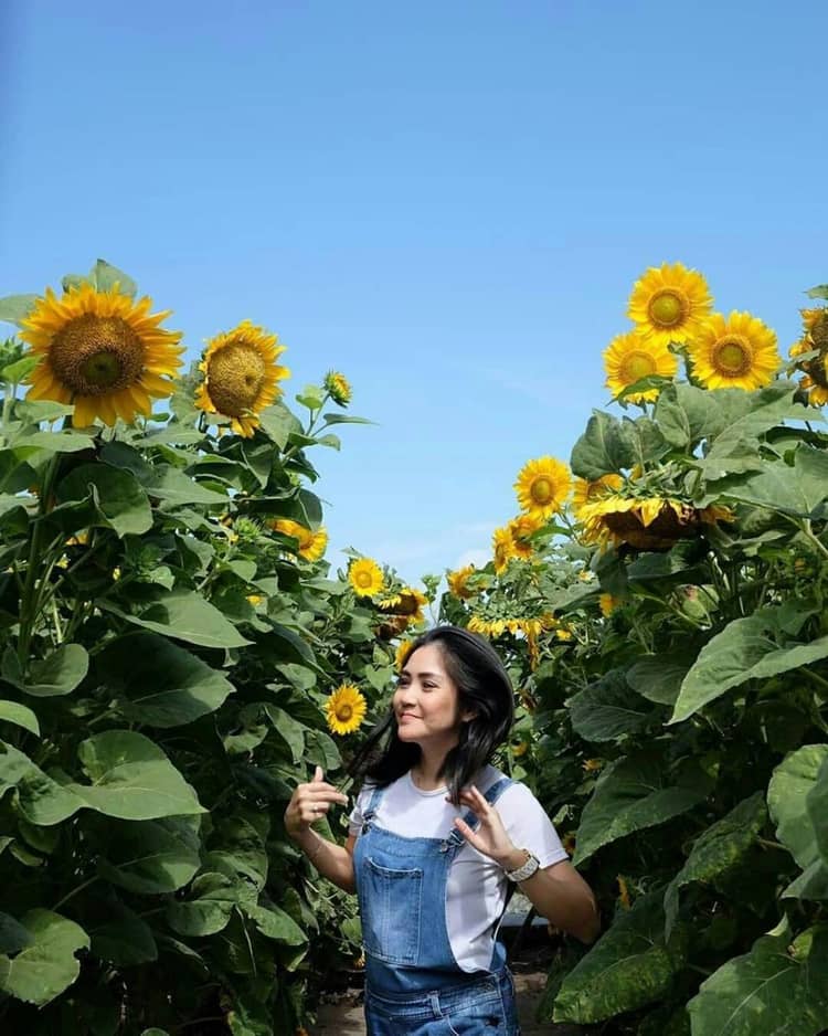 10 Kebun Bunga Tersembunyi Paling Cantik di Indonesia | IDN Times
