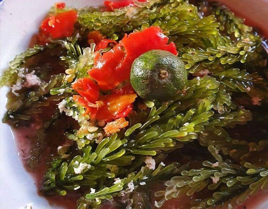 7 Rekomendasi Rujak di Bali, Wajib Kamu Cobain | IDN Times Bali