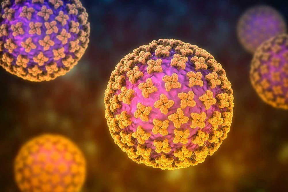 Dinkes Perketat Pengawasan ke Desa Cegah Hantavirus di Klungkung | IDN ...