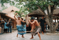 8 Tarian Khas Tradisional dari Nusa Tenggara Barat | IDN Times NTB