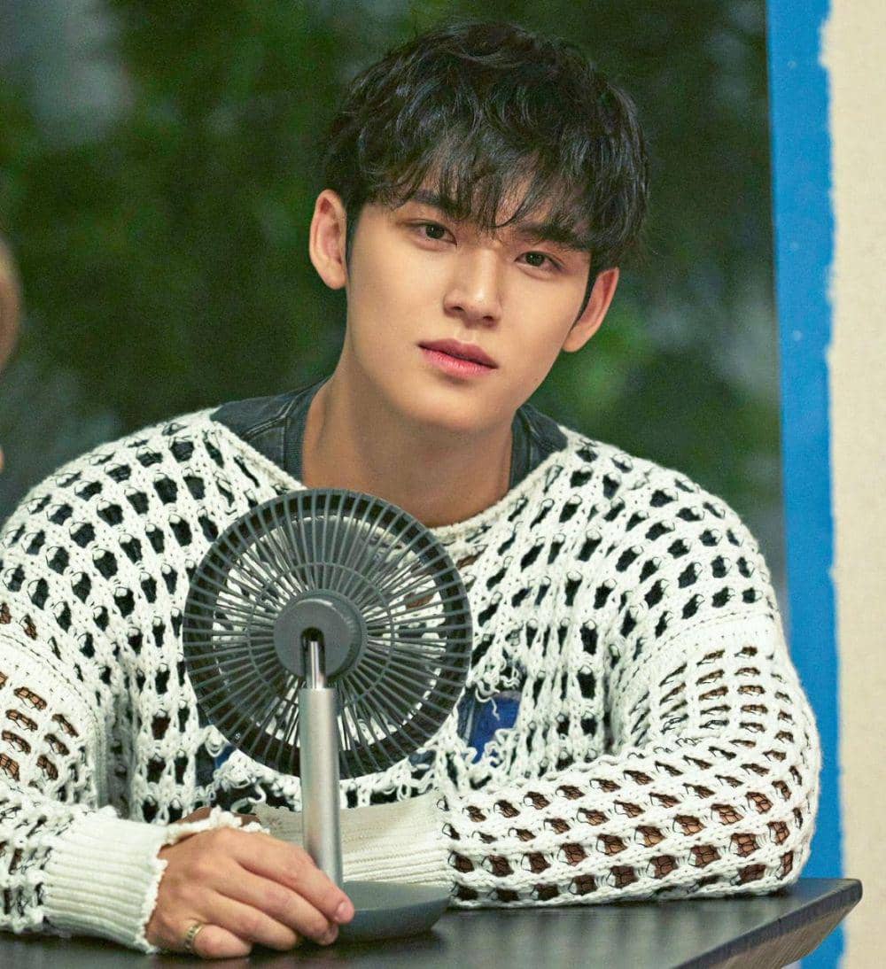 Profil dan Biodata Mingyu SEVENTEEN | IDN Times