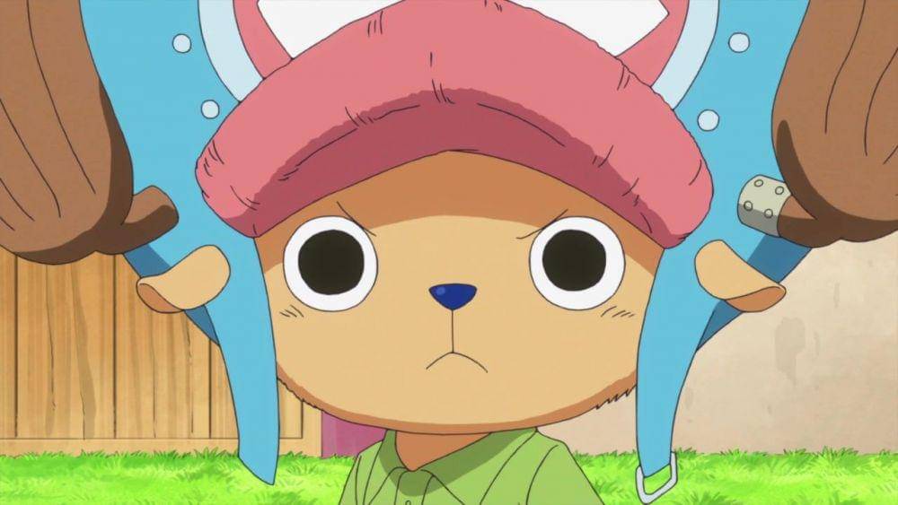 10 Anggota Bajak Laut Topi Jerami di Anime One Piece | IDN Times