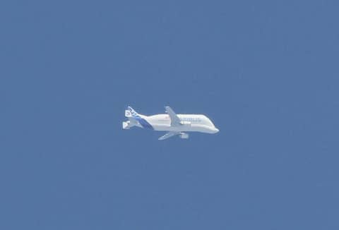 6 Fakta Airbus Beluga, Pesawat Kargo dengan Desain Ikonik | IDN Times