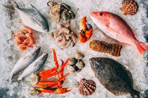 9 Distributor Frozen Food Terbaik untuk Pebisnis Pemula | IDN Times