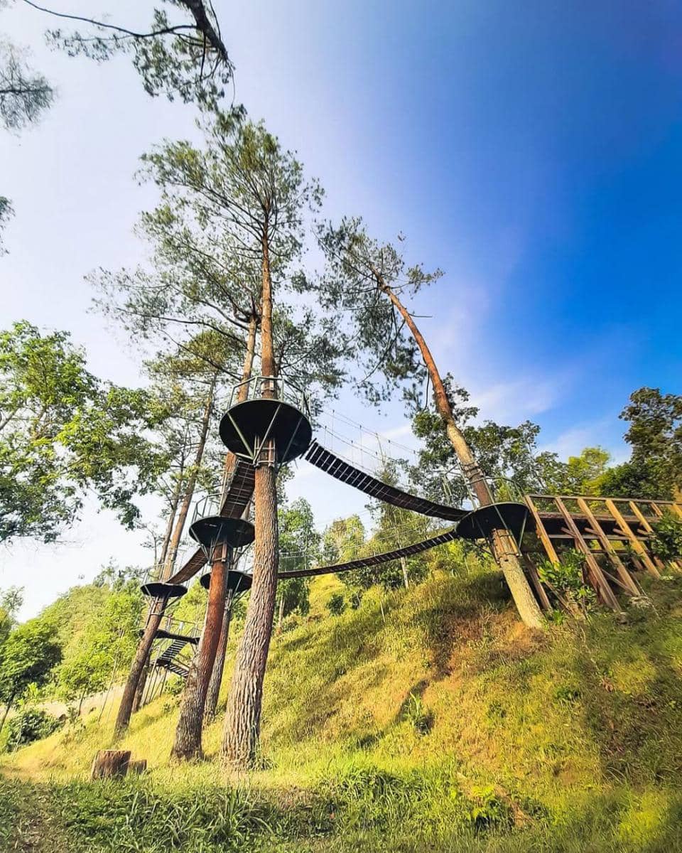 Wisata Plunyon Kalikuning : Informasi Lokasi dan Rute | IDN Times Jogja