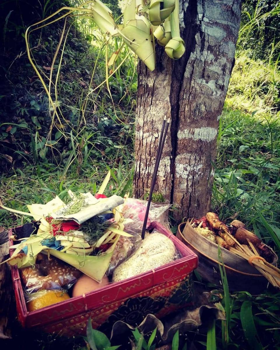 Daftar Rahinan Hindu Oktober 2025, Ada Tumpek Bubuh | IDN Times Bali