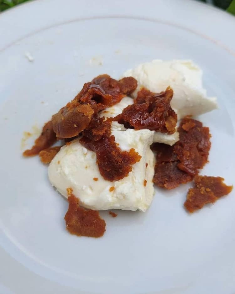 6 Fakta Dadih, Yogurt Susu Kerbau dari Ranah Minang | IDN Times
