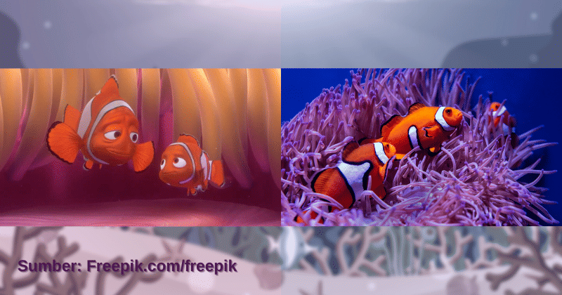 10 Karakter Finding Nemo di Dunia Nyata | IDN Times