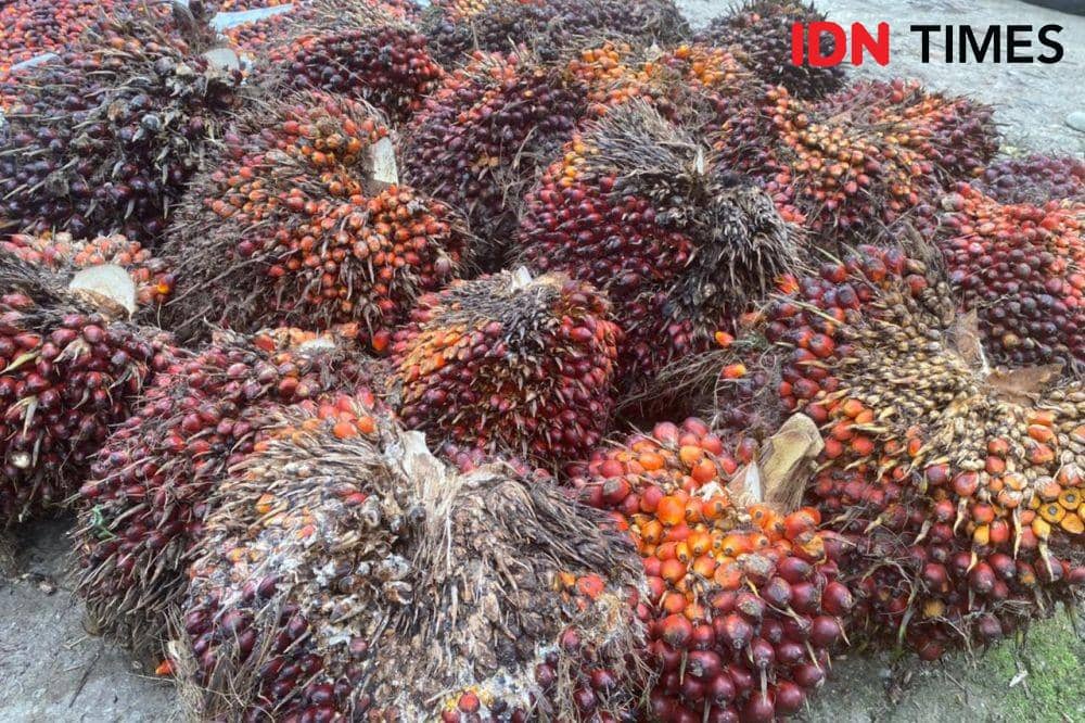 5 Fakta Menarik tentang Mata Uang Dinar Kuwait | IDN Times