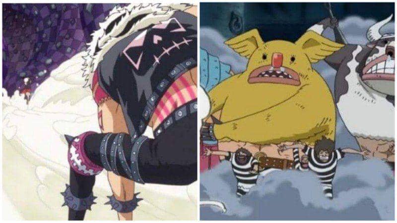 3 Perbedaan Awakening Paramecia dan Zoan One Piece | Duniaku.com
