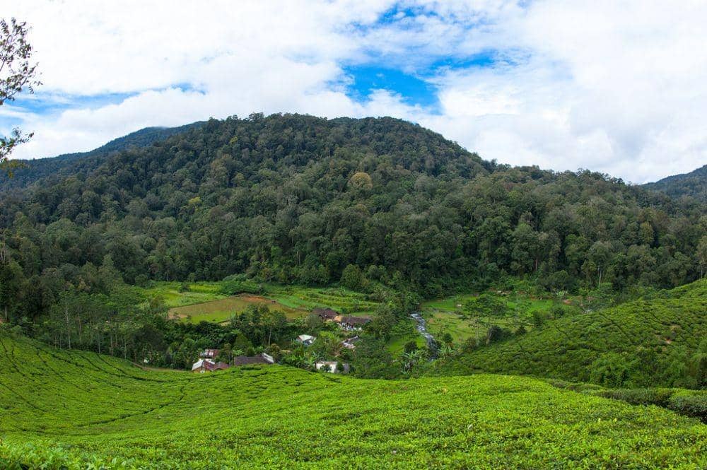 20 Tempat Wisata Tegal yang Indah dan Murah untuk Liburan | IDN Times
