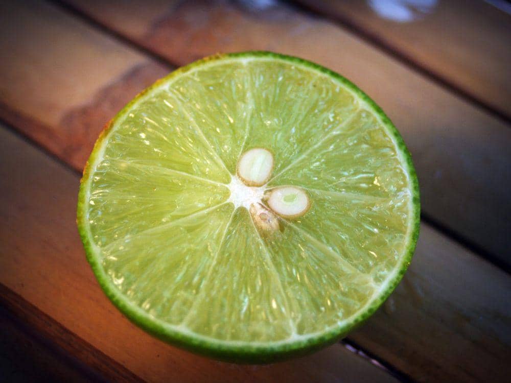 Cara Simpan Jeruk Nipis di Botol Bekas agar Tahan Lama 2 Bulan | IDN ...