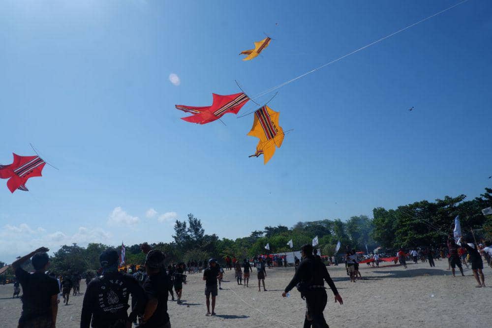 3 Tips Main Layangan di Bali biar Tidak Membahayakan Orang | IDN Times Bali