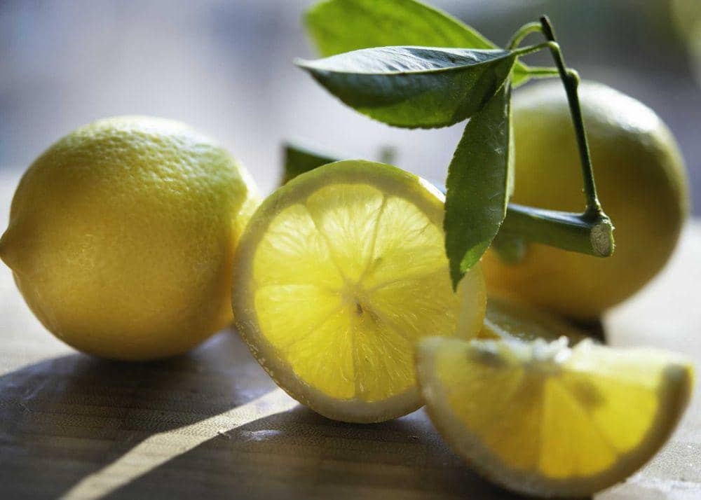 5 Fakta Tanaman Lemon, Buah Segar yang Jadi Favorit | IDN Times