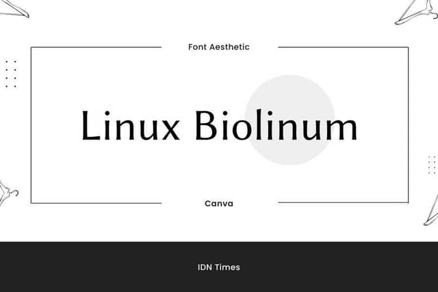 12 Font Canva Aesthetic, Bikin Desain Makin Outstanding | IDN Times