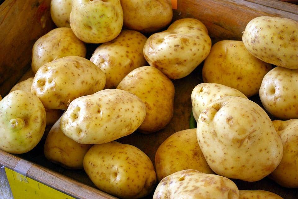 5 Fakta Potato Starch, Pati Kentang yang Serba Guna | IDN Times