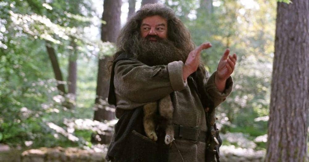 10 Guru di Hogwarts Terbaik, Siapa Favoritmu? | Duniaku.com