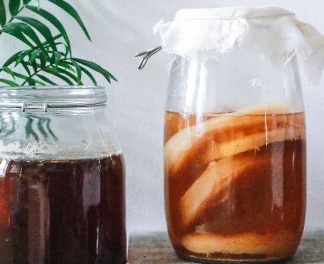 Scoby Kombucha Terbentuk dari Apa? | IDN Times