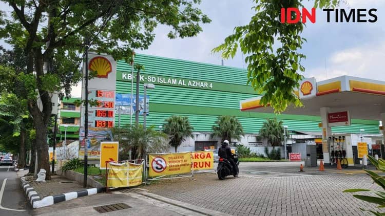 5 Jenis Shell yang Ada di Indonesia, Mana yang Cocok? | IDN Times