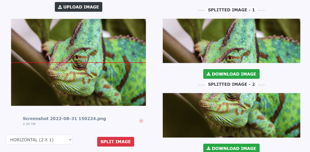 5 Rekomendasi Situs Image Splitter Online, Ayo Coba! | IDN Times