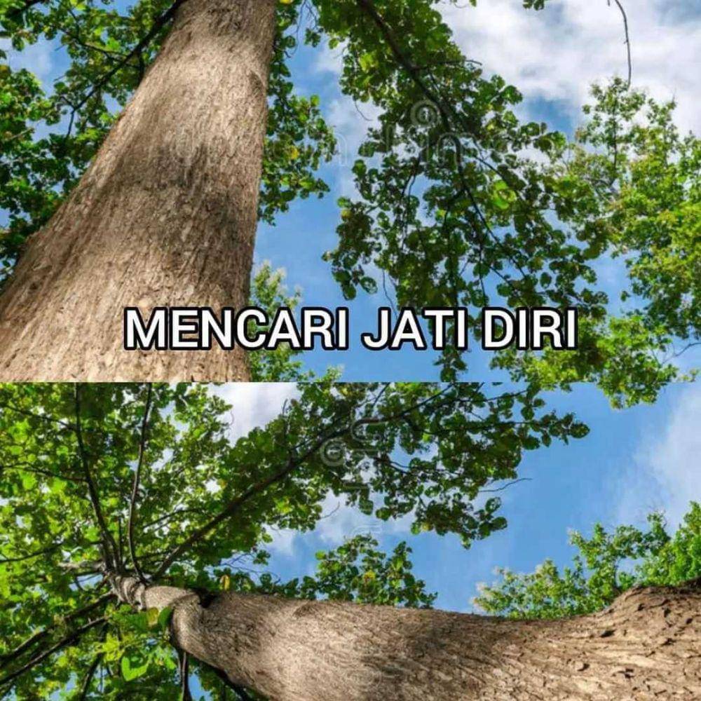 10 Meme Lucu Bikin Ngakak, Sempat Tak Terpikirkan Sebelumnya | IDN Times Sumsel