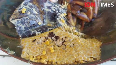Menguak Mimi dan Mintuna, Ikan yang Bisa Bikin Pasutri Rukun | IDN ...