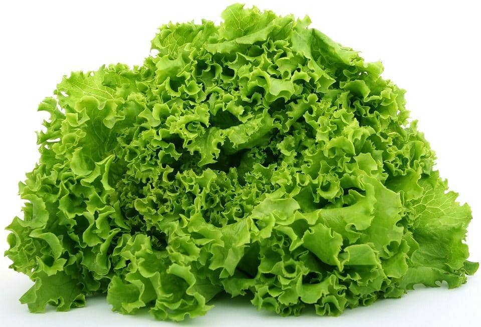 7 Resep Olahan Selada Rumahan yang akan Membuatmu Suka Sayur | IDN Times