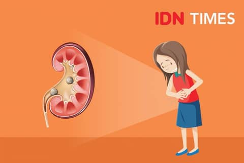 Pertolongan Pertama setelah Digigit Kelabang atau Lipan | IDN Times