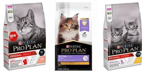10 Makanan Kucing yang Bagus, Penuh Nutrisi dan Berkualitas | Duniaku.com