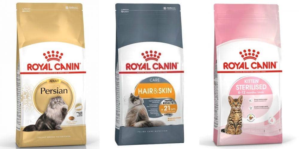 10 Makanan Kucing yang Bagus, Penuh Nutrisi dan Berkualitas | Duniaku.com