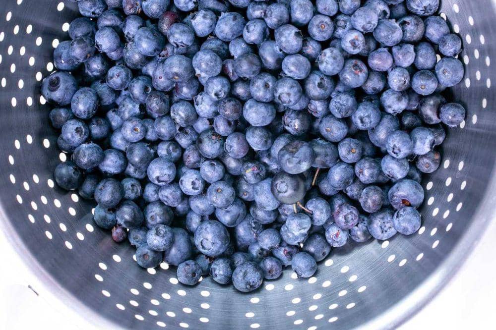 13 Fakta Menarik Buah Blueberry si Mungil yang Manis | IDN Times