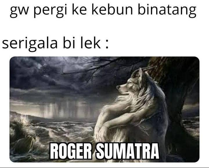 10 Meme Kocak Roger Sumatera yang Sukses Bikin Kamu Nyanyi | IDN Times