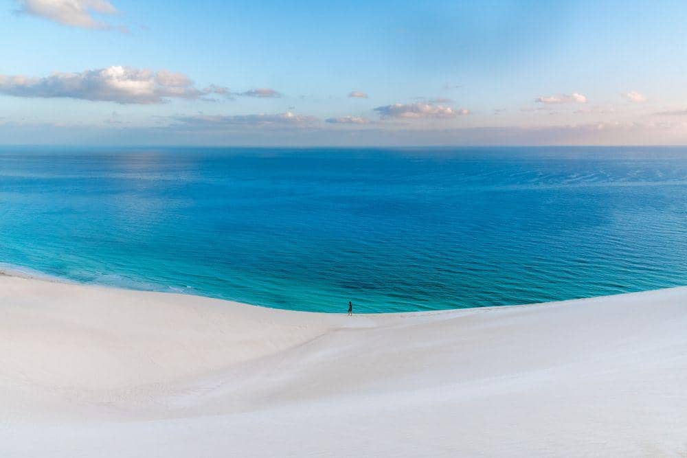 10 Fakta tentang Pulau Socotra yang Penuh Misteri | IDN Times