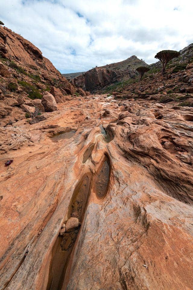 10 Fakta tentang Pulau Socotra yang Penuh Misteri | IDN Times