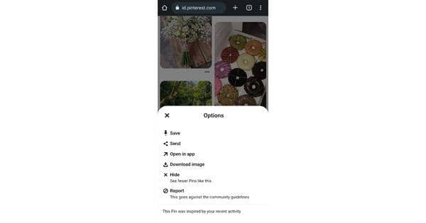 3 Cara Download Gambar di Pinterest Lewat Komputer dan HP | Duniaku.com