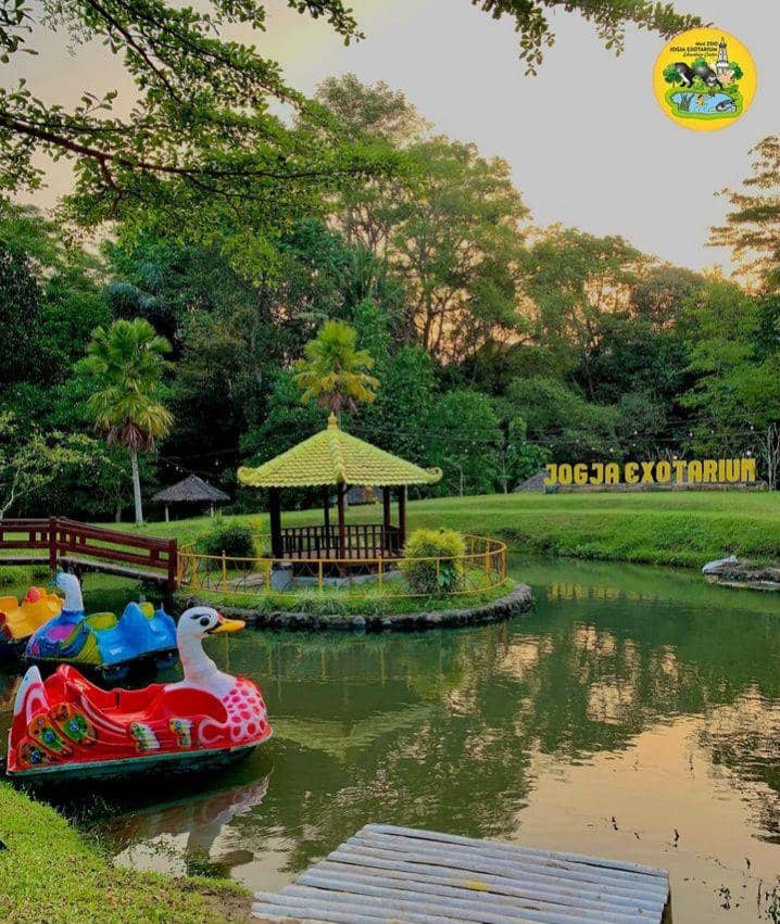 Mini Zoo Jogja Exotorium: Lokasi, Rute, dan Harga Tiket | IDN Times Jogja