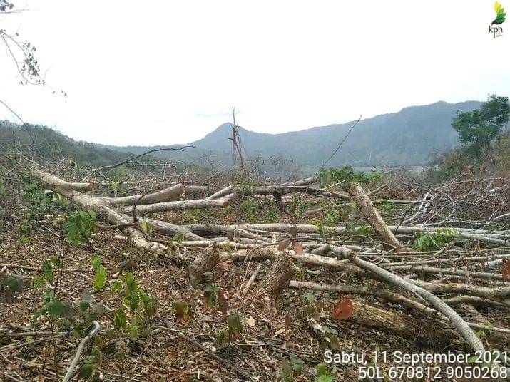 Ratusan Ribu Hektare Lahan di NTB Dilaporkan Situasi Kritis | IDN Times NTB
