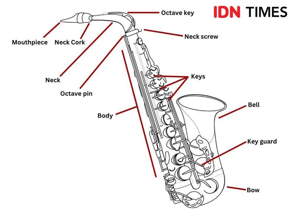 Alat Musik Saksofon: Sejarah, Jenis-Jenis, dan Komponennya | IDN Times