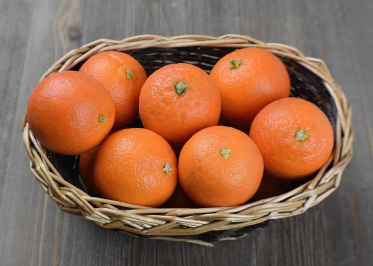 Fakta Unik Jeruk Mandarin, Ukuran Kecil dengan Rasa Manis | IDN Times