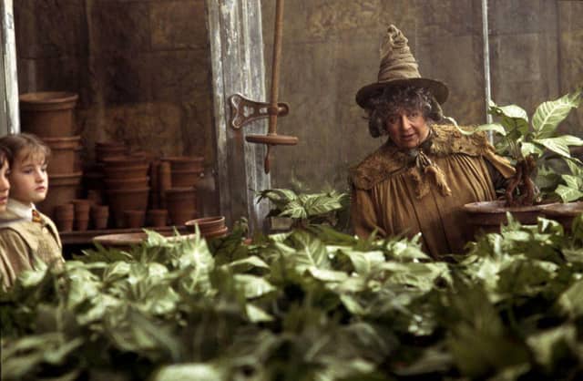 7 Fakta Hufflepuff di Harry Potter! Asrama yang Bijaksana? | Duniaku.com