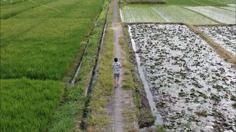6 Tempat Jogging di Denpasar, Olahraga Sambil Refreshing | IDN Times Bali