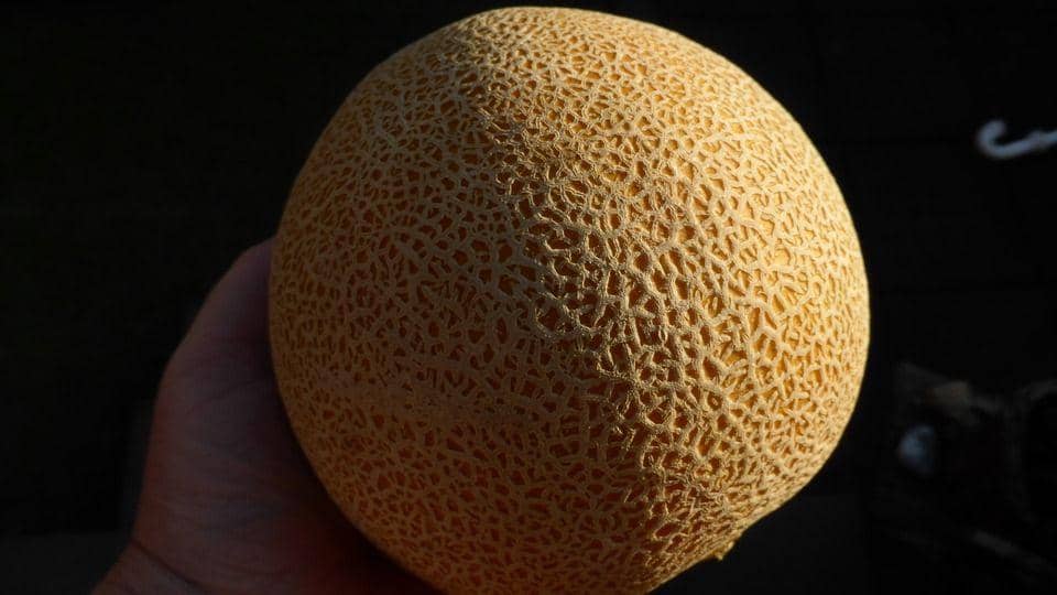 9 Cara Memilih Melon yang Manis dan Matang | IDN Times