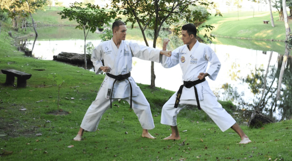 9 Teknik Dasar Taekwondo yang Harus Kamu Kuasai | IDN Times