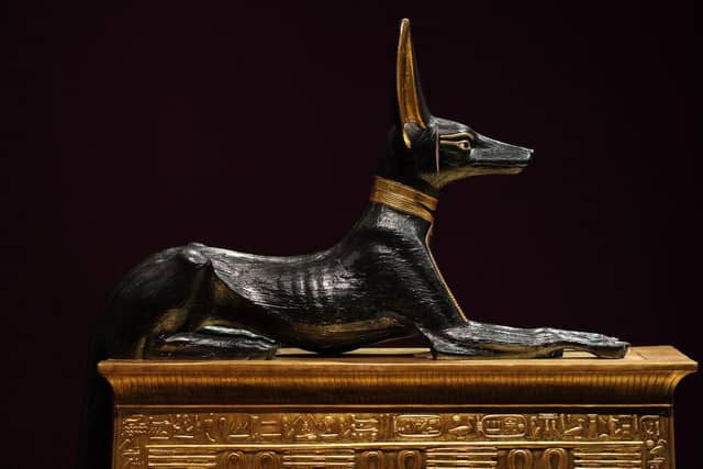 5 Fakta Tentang Anubis, Dewa Bertubuh Manusia dengan Kepala | IDN Times