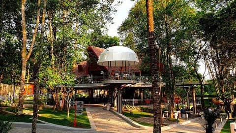 Heha Forest: Info Lokasi, Harga Tiket, dan Daya Tariknya | IDN Times